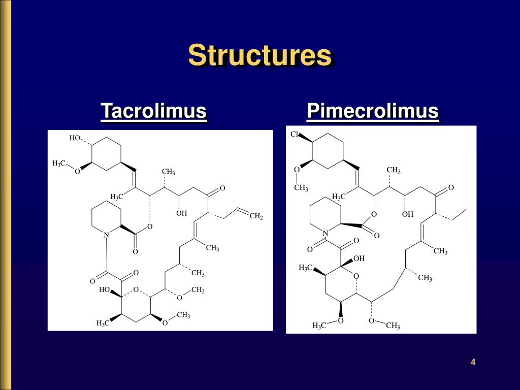 PPT - Topical Immunosuppressants (Calcineurin Inhibitors) - Animal ...