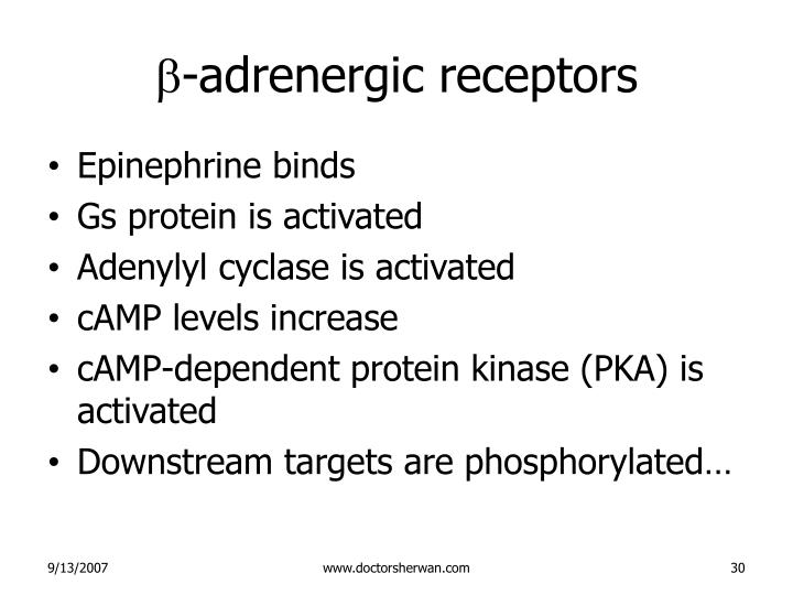 PPT - Introduction to Signal Transduction PowerPoint Presentation - ID ...