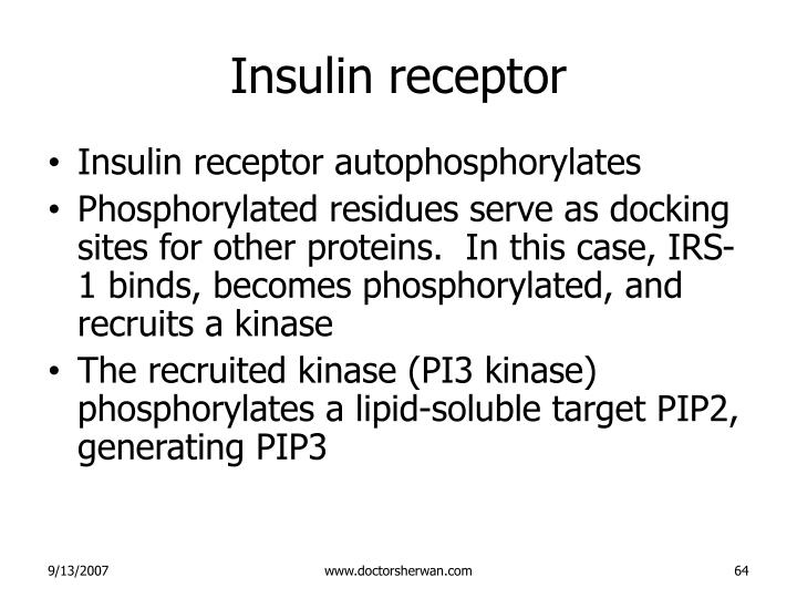 PPT - Introduction to Signal Transduction PowerPoint Presentation - ID ...