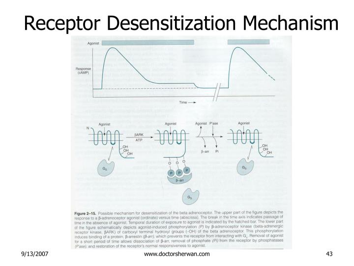 PPT - Introduction to Signal Transduction PowerPoint Presentation - ID ...