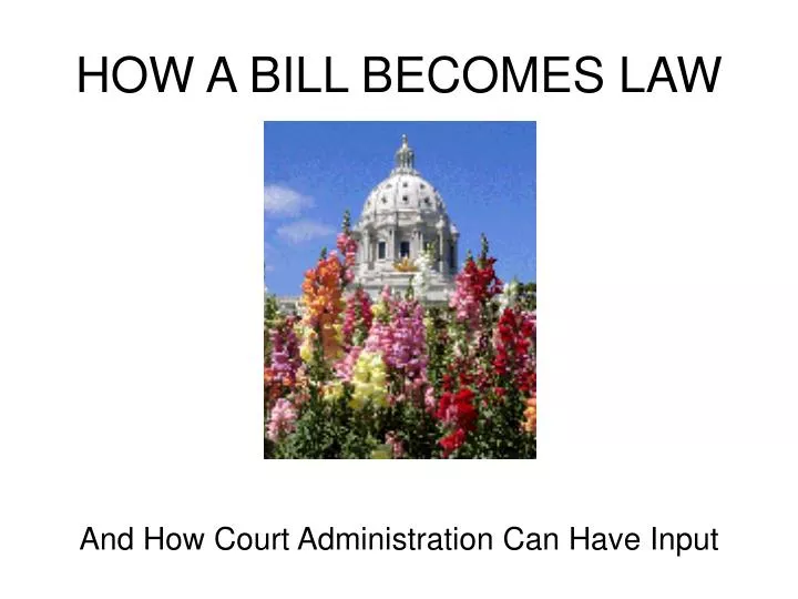 PPT - HOW A BILL BECOMES LAW PowerPoint Presentation, free download ...