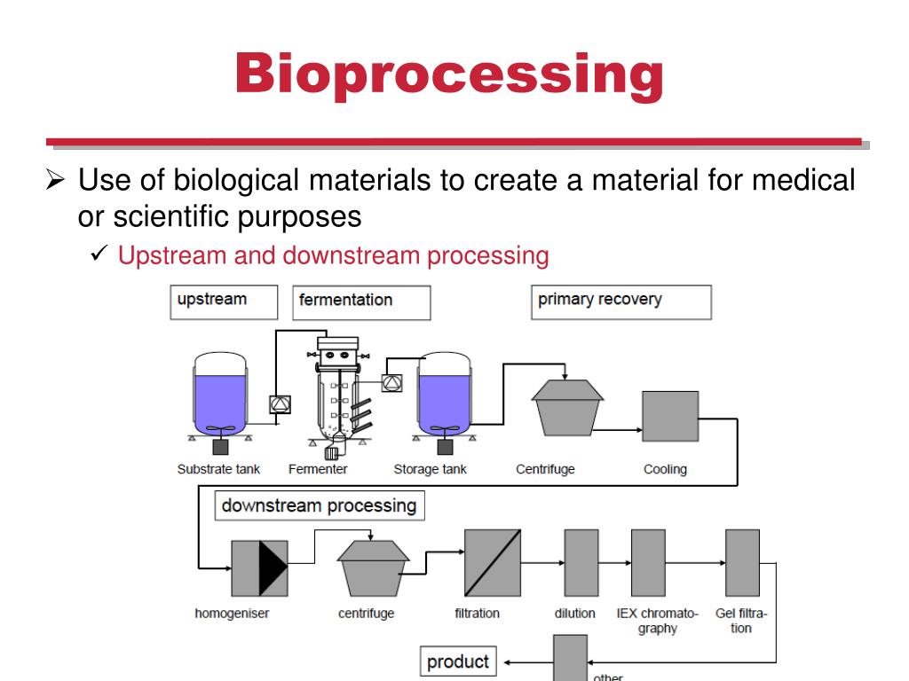 PPT - Plant and Mammalian Tissue Culture PowerPoint Presentation, free ...