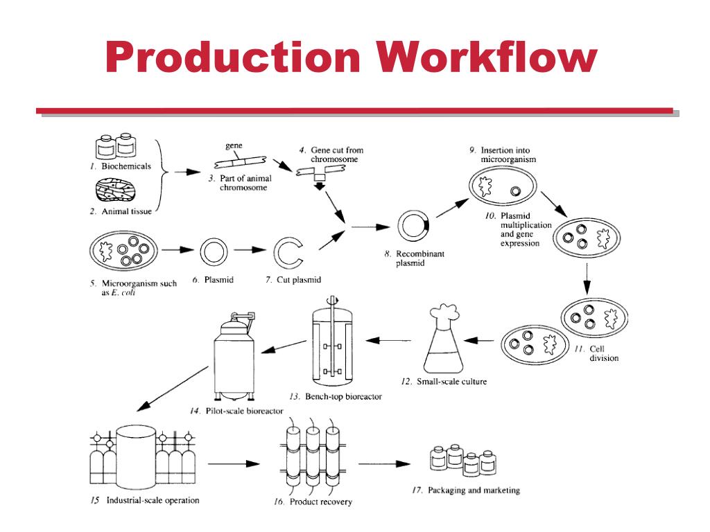 PPT - Plant and Mammalian Tissue Culture PowerPoint Presentation, free ...