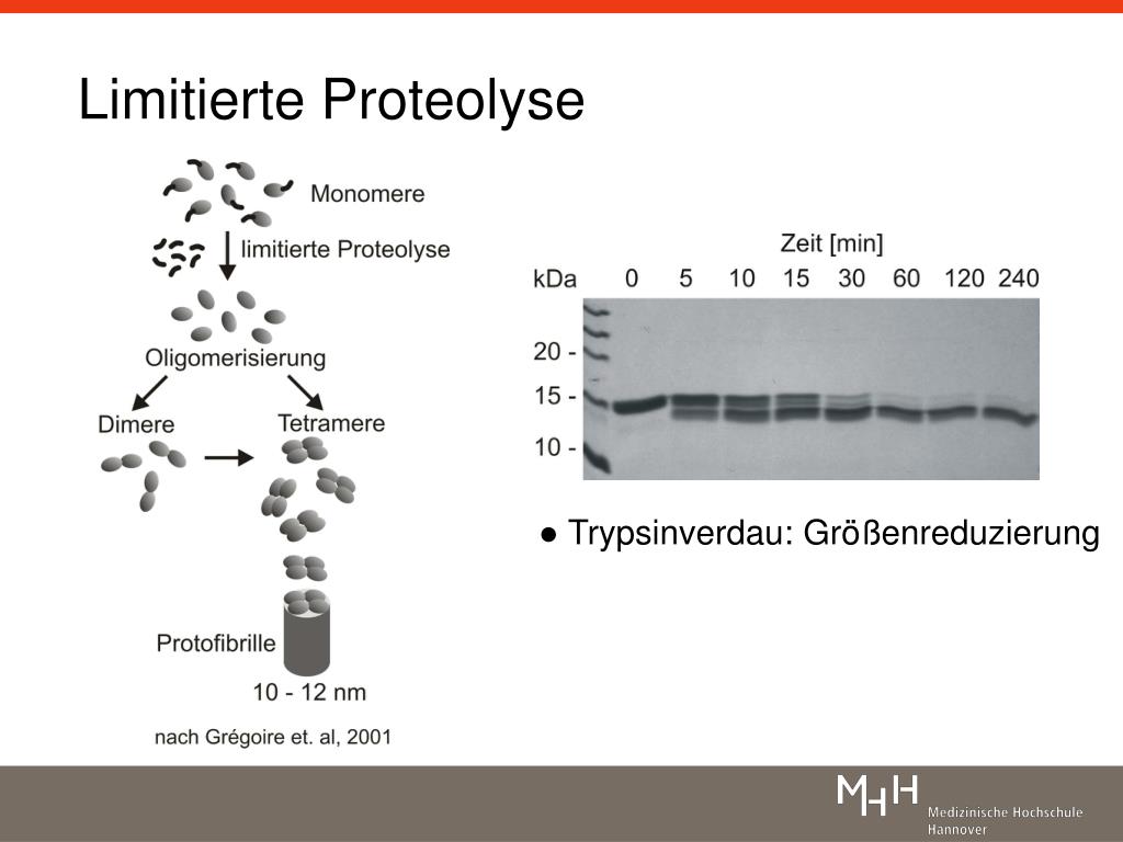 PPT - Salmonella Typhimurium unterdrückt konkurrierende Kommensale ...