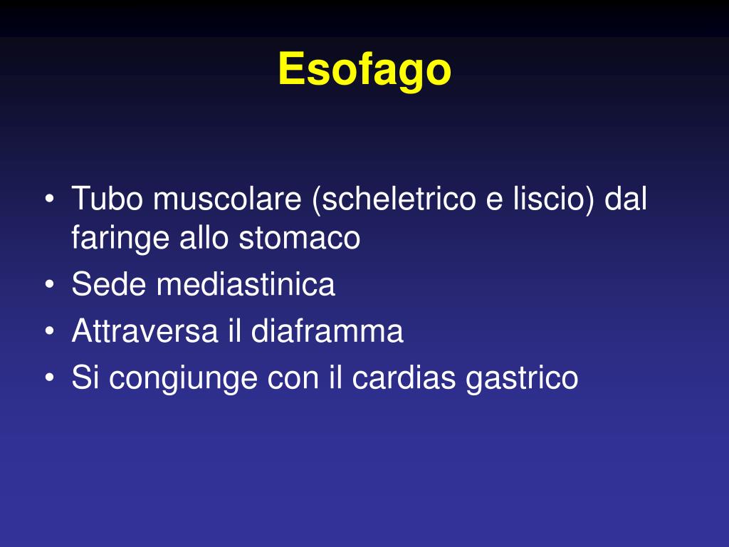 PPT - GERD and Esophageal Precancerous Conditions: Anatomopathological ...