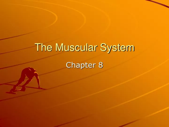 PPT - The Muscular System PowerPoint Presentation, free download - ID ...