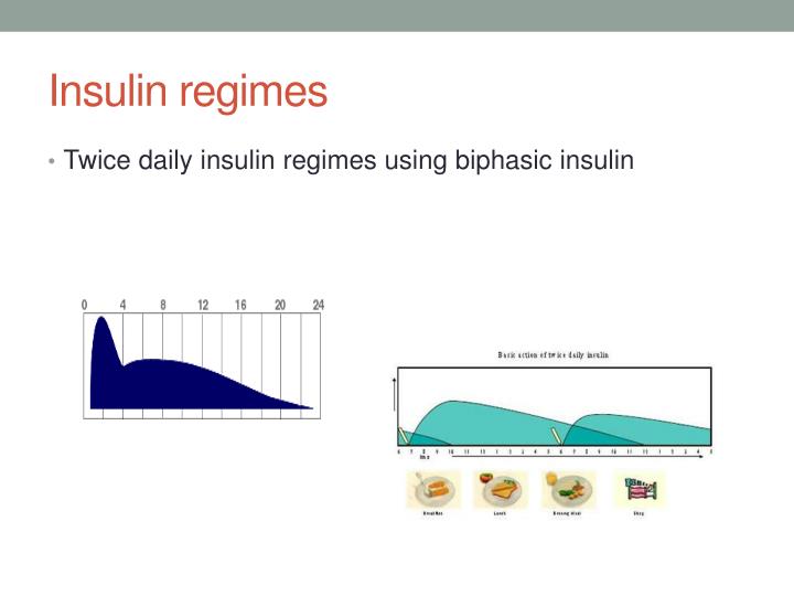 PPT - DEVELOPMENTS IN THE DIABETES SPECIALIST NURSING SERVICE ...