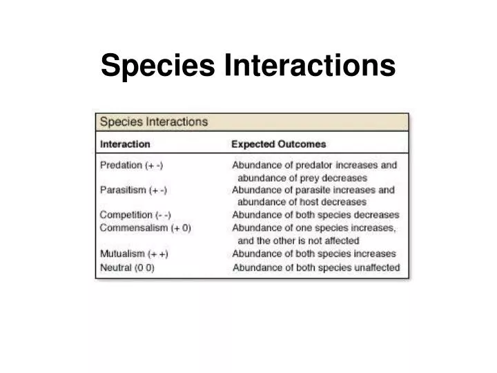PPT - Species Interactions PowerPoint Presentation, free download - ID ...