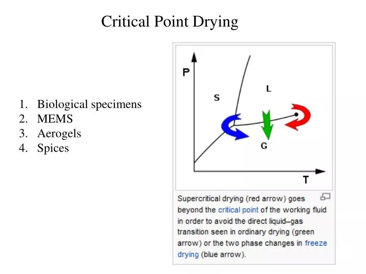 PPT - Critical Point Drying PowerPoint Presentation, free download - ID ...