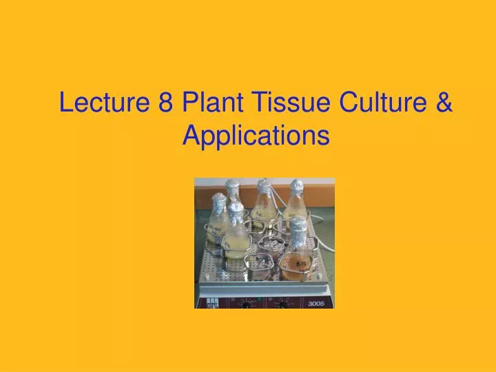 PPT - Lecture 8 Plant Tissue Culture & Applications PowerPoint ... PPT - Lecture 8 Plant Tissue Culture & Applications PowerPoint ...