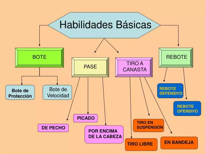 PPT - Habilidades Básicas PowerPoint Presentation, free download - ID ...