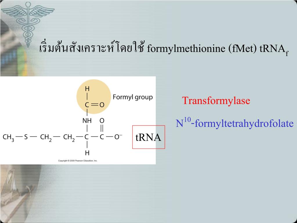 PPT - พันธุกรรมของแบคทีเรีย 2 PowerPoint Presentation - ID:1131917
