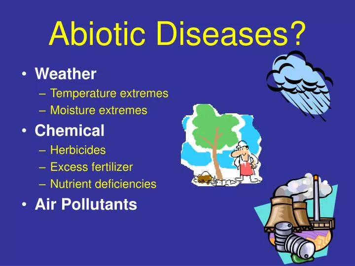 PPT - Abiotic Diseases? PowerPoint Presentation, free download - ID:1132502