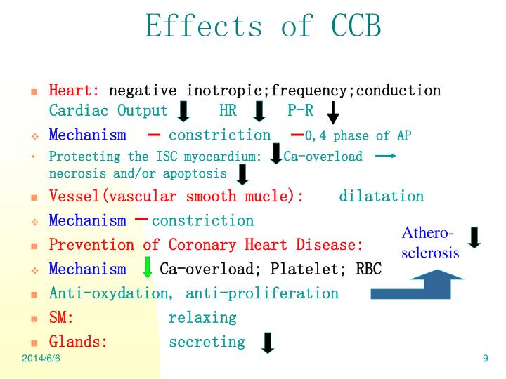 PPT - Calcium Channel Blockers (CCB) PowerPoint Presentation - ID:1132535