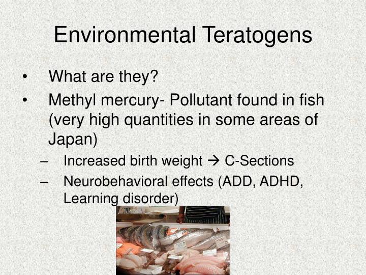 PPT - Teratogens PowerPoint Presentation - ID:1133203