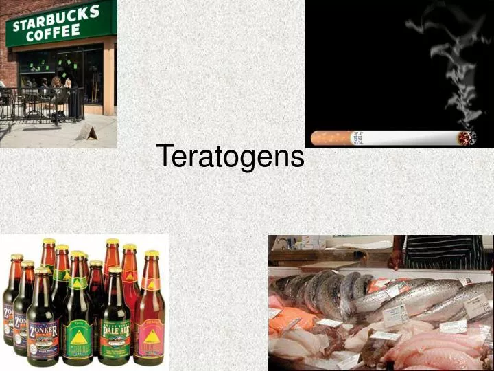 PPT - Teratogens PowerPoint Presentation, free download - ID:1133203