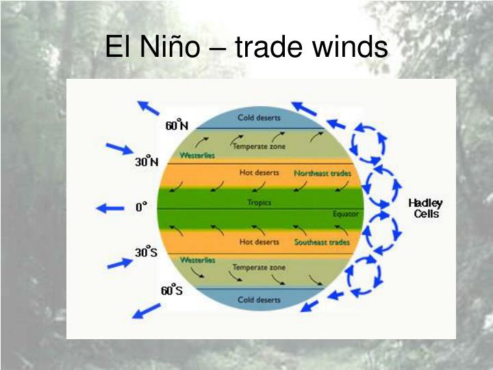 PPT - Tropical Biology PowerPoint Presentation - ID:1134070