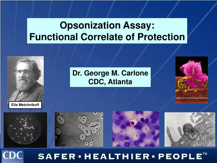PPT - Opsonization Assay: Functional Correlate of Protection PowerPoint ...