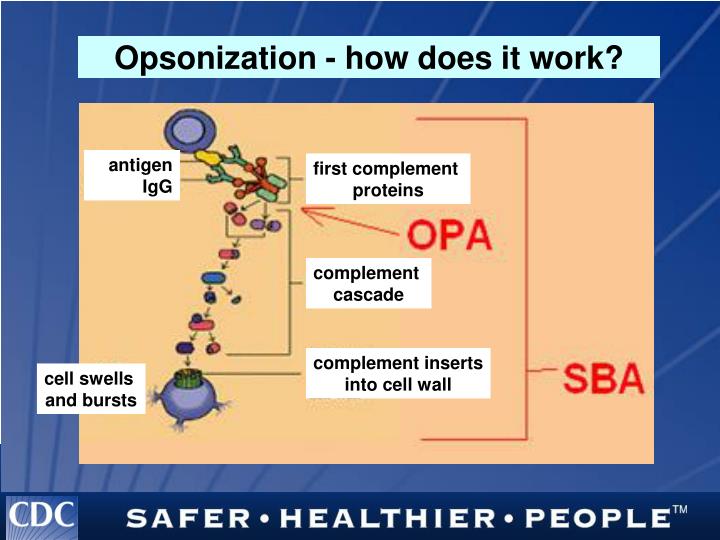 PPT - Opsonization Assay: Functional Correlate of Protection PowerPoint ...