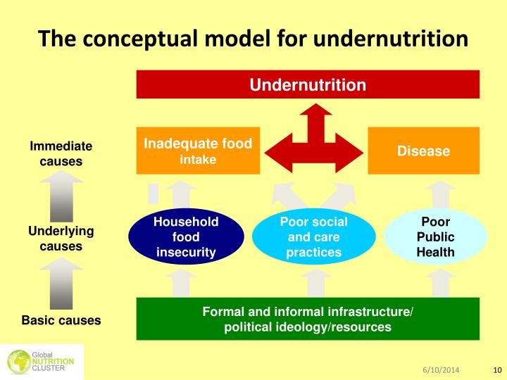 PPT - Causes of malnutrition M odule 5 PowerPoint Presentation - ID:1135925