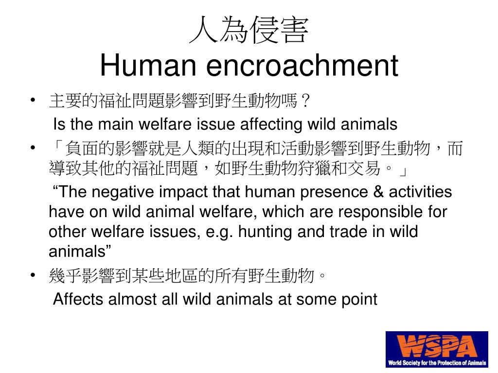 PPT - 野生動物福祉（1）： 野生動物的管理 Wild animal welfare (1): management of ...