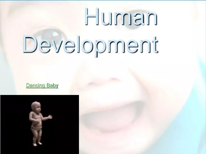 PPT - Human Development PowerPoint Presentation, free download - ID:1136148