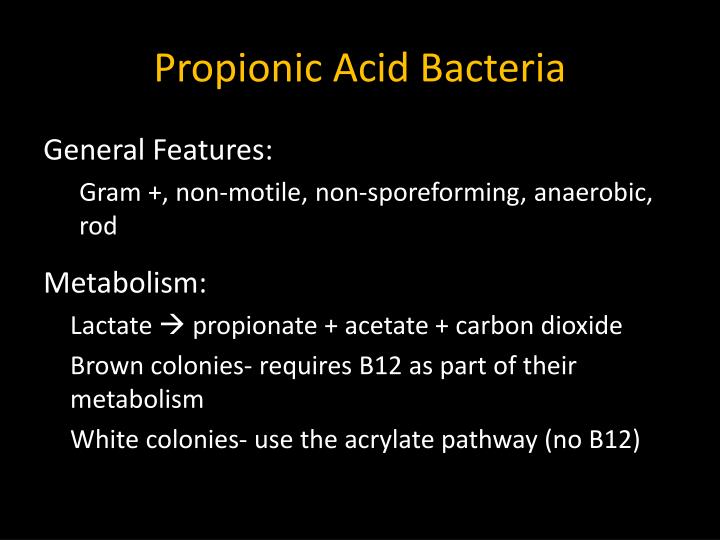 PPT - Lactic Acid Bacteria and Propionic Acid Bacteria Enrichments ...