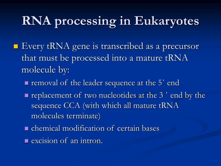 PPT - UNIT 3 PowerPoint Presentation - ID:1139194