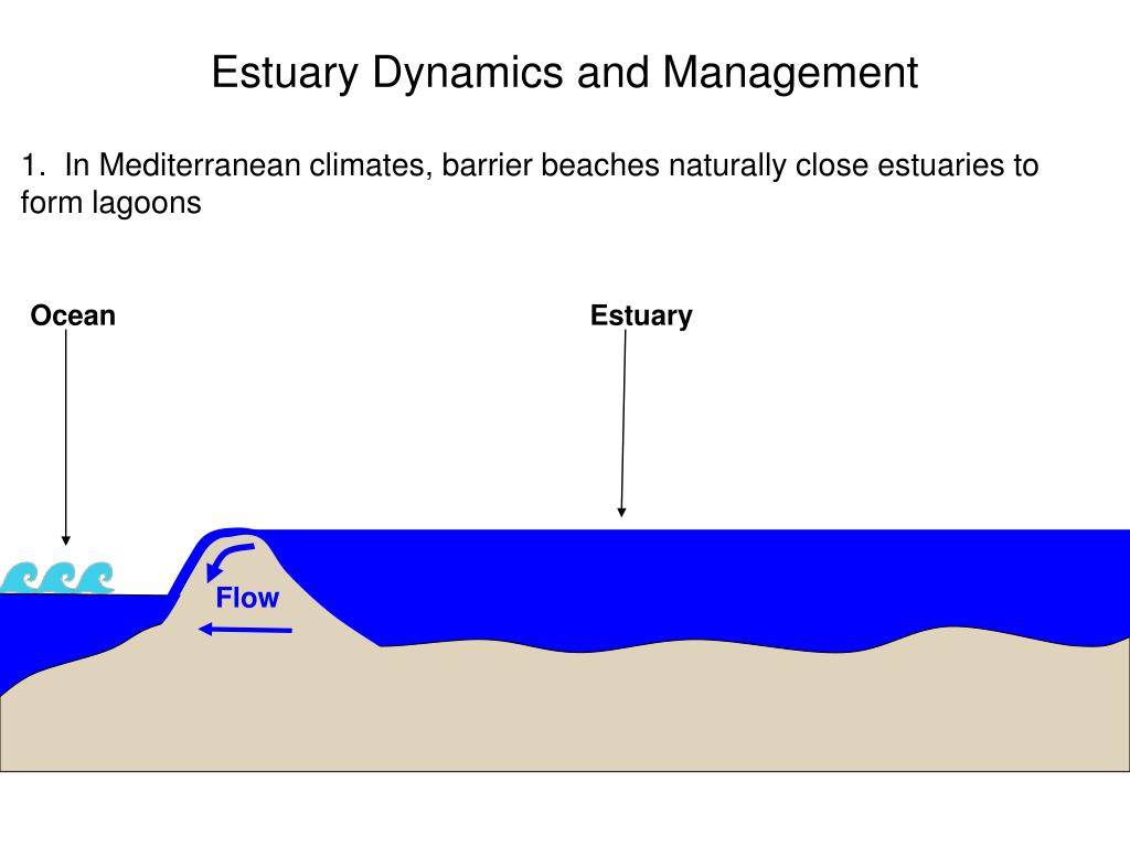 PPT - Salmon and Steelhead Conservation through adaptive management of ...