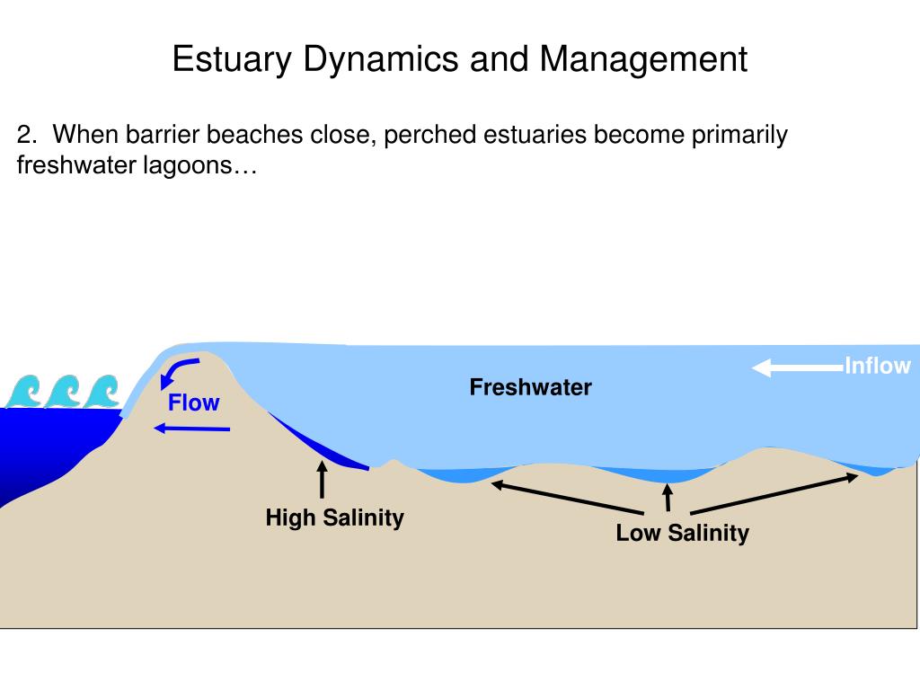 PPT - Salmon and Steelhead Conservation through adaptive management of ...