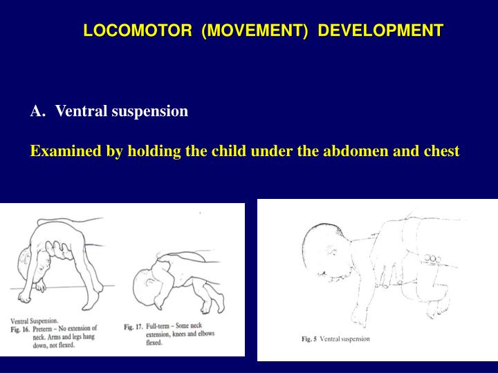 PPT - Psychomotor Development of the Normal Infant PowerPoint ...