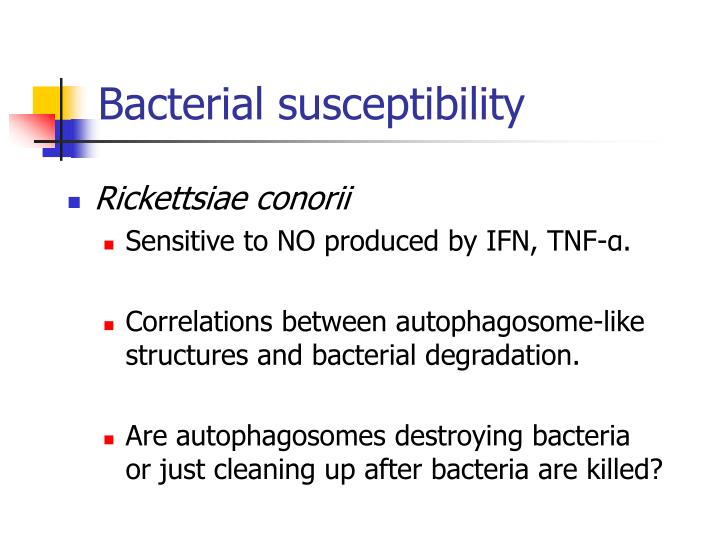 PPT - Autophagy PowerPoint Presentation - ID:1140266