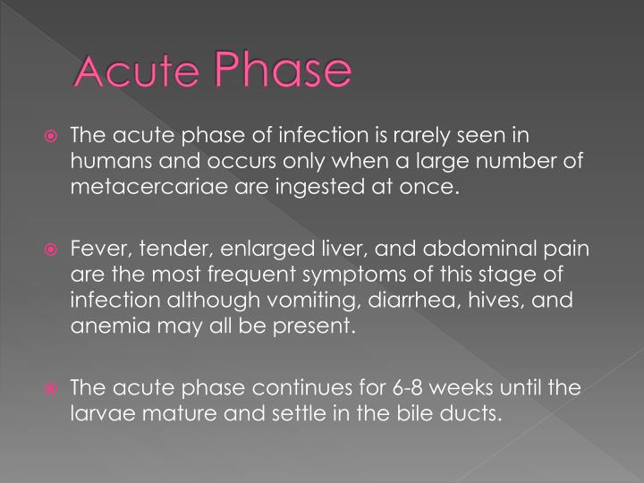 PPT - Fasciola hepatica PowerPoint Presentation - ID:1141945