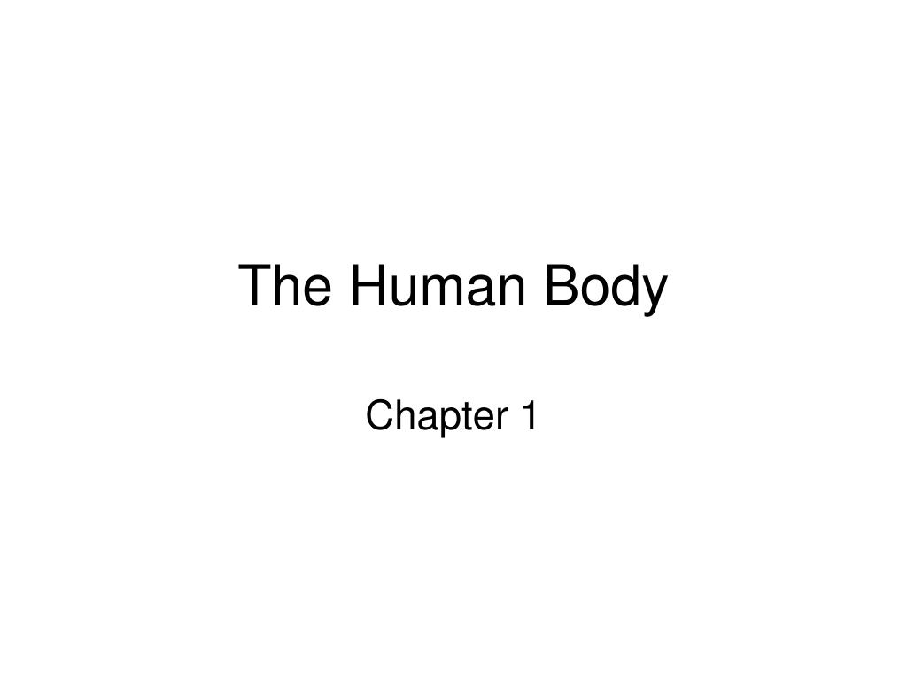 Ppt The Human Body Powerpoint Presentation Free Download Id 1141983