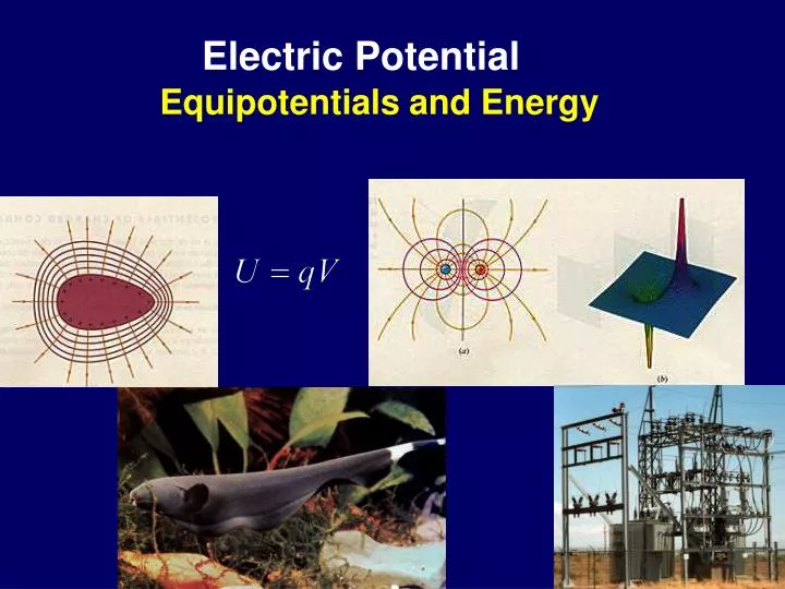 PPT - Equipotentials and Energy PowerPoint Presentation, free download ...