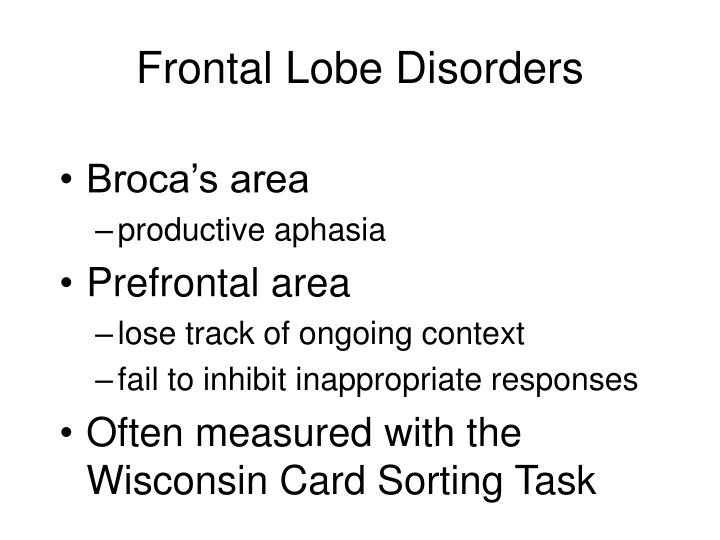 PPT - A2 Biology – The nervous system PowerPoint Presentation - ID:1142900