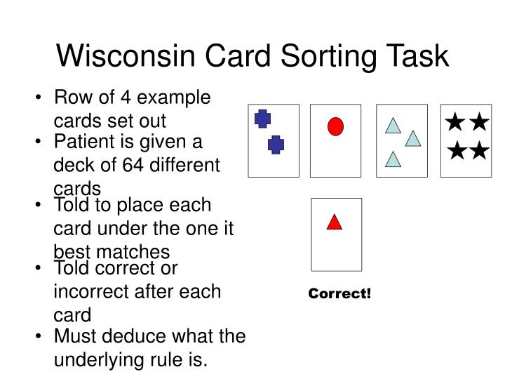 PPT - A2 Biology – The nervous system PowerPoint Presentation - ID:1142900