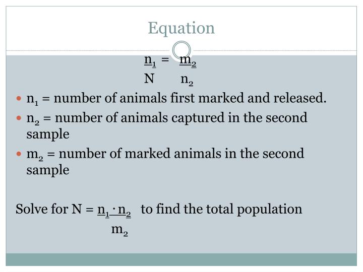 PPT - The Lincoln Index PowerPoint Presentation - ID:1145139
