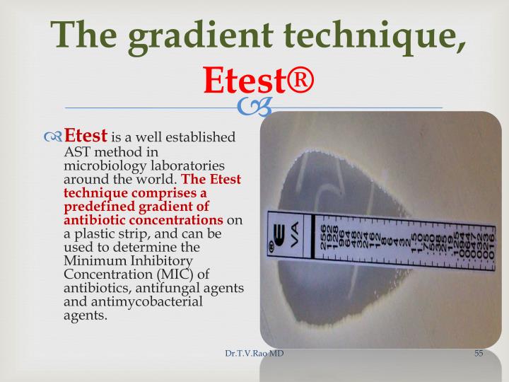 PPT - Antibiotic Sensitivity Testing PowerPoint Presentation - ID:114544