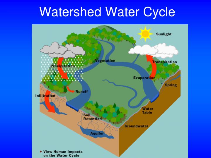 PPT - WATERSHED MANAGEMENT PowerPoint Presentation - ID:1146256