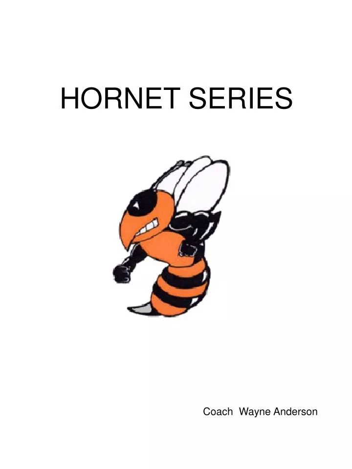 PPT - HORNET SERIES PowerPoint Presentation, free download - ID:1146497