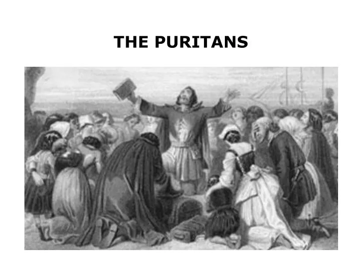 PPT - THE PURITANS PowerPoint Presentation, free download - ID:1146661