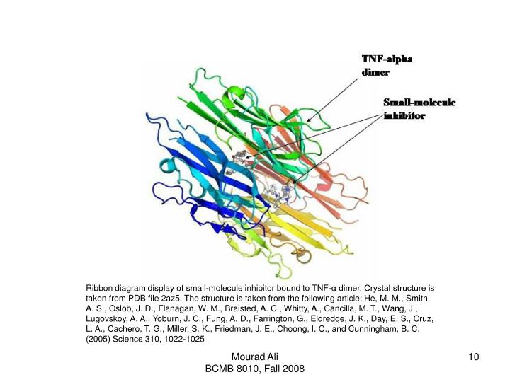 PPT - Tumor Necrosis Factor-Alpha (TNF-α) A Cytokine Protein Involved ...