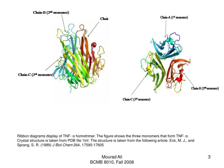 PPT - Tumor Necrosis Factor-Alpha (TNF-α) A Cytokine Protein Involved ...