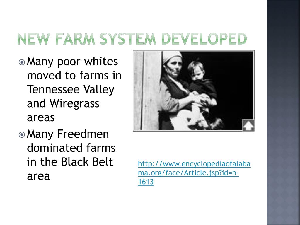 PPT - Alabama tenant Farmers & Sharecroppers 1865 --Present PowerPoint ...