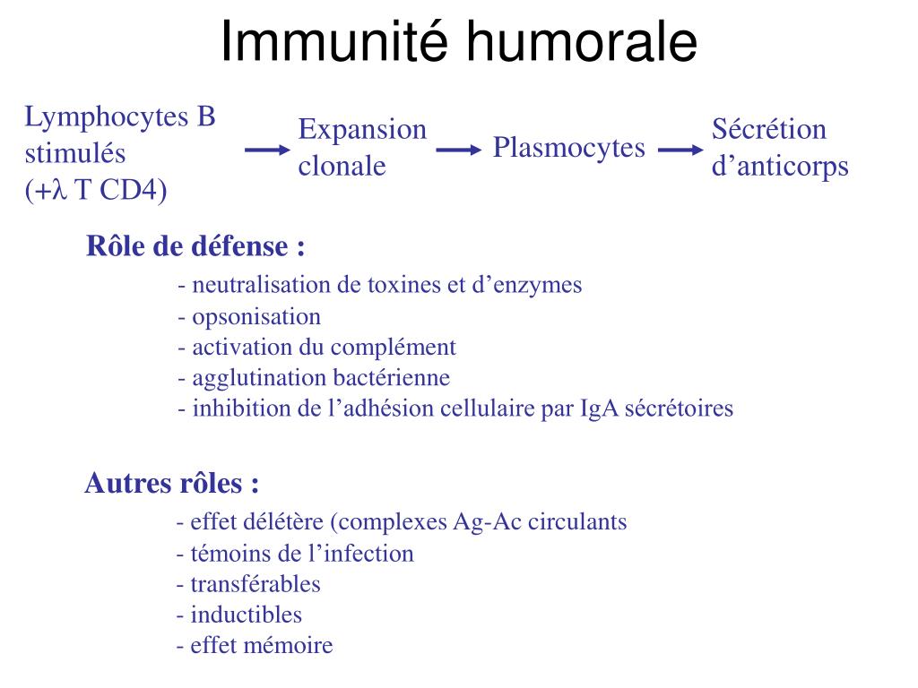 PPT - MOYENS DE DEFENSE DE L’ORGANISME PowerPoint Presentation, free ...