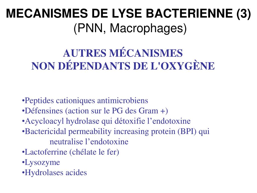 Lyse Bactérienne Def – Lyse Definition – ERDNLK