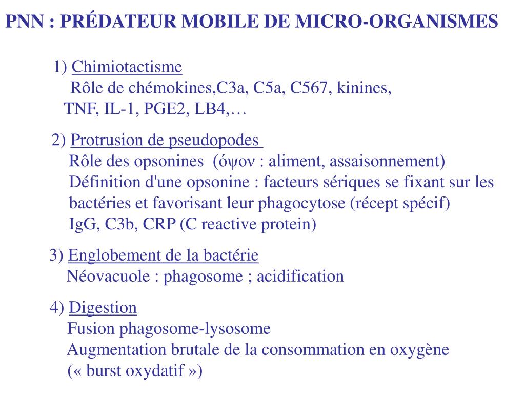PPT - MOYENS DE DEFENSE DE L’ORGANISME PowerPoint Presentation, free ...