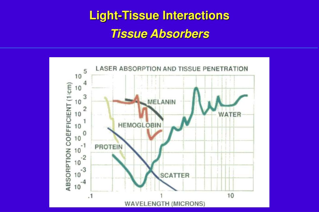 PPT - MGH Wellman Center for Photomedicine Laser Safety PowerPoint ...