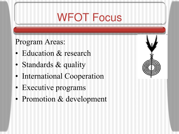 PPT - Occupational Therapy PowerPoint Presentation - ID:1149550